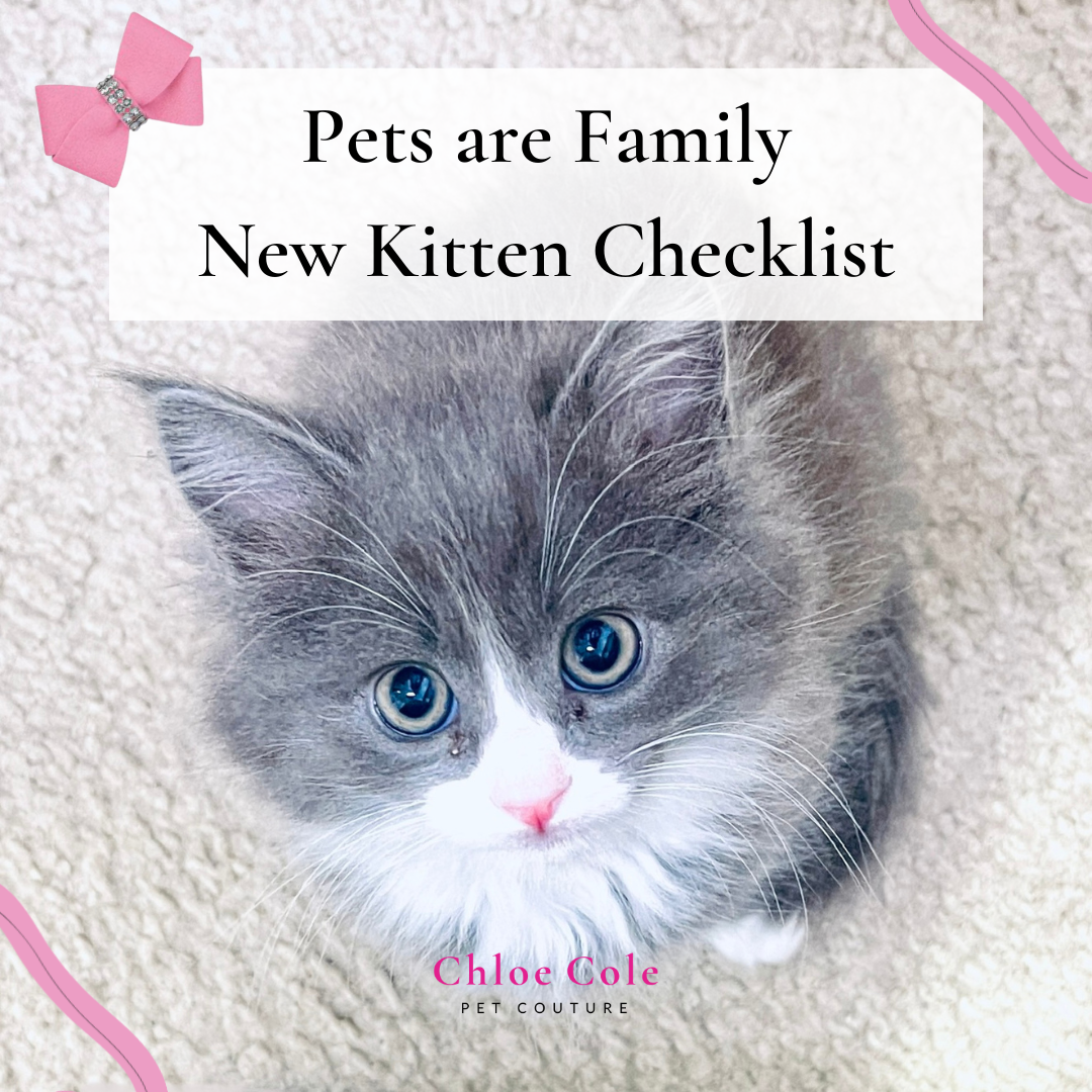 New Kitten Checklist – Chloe Cole Pet Couture