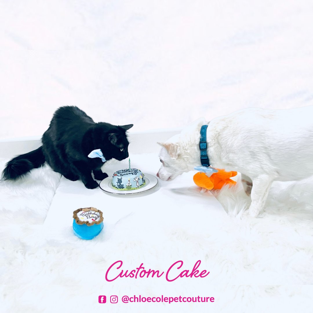 Personalized & Custom Cakes – Chloe Cole Pet Couture