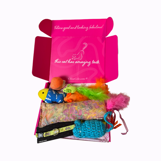 New Cat Products – Chloe Cole Pet Couture